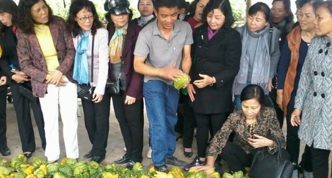Bài toán đầu ra cho sản phẩm sạch
