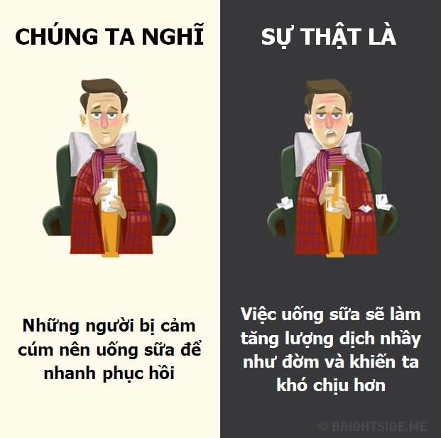 10 lầm tưởng lớn nhất về các loại đồ uống hàng ngày
