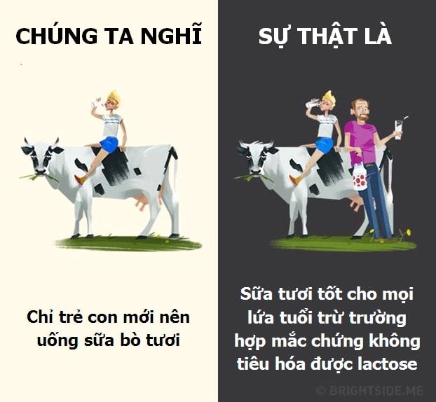 10 lầm tưởng lớn nhất về các loại đồ uống hàng ngày