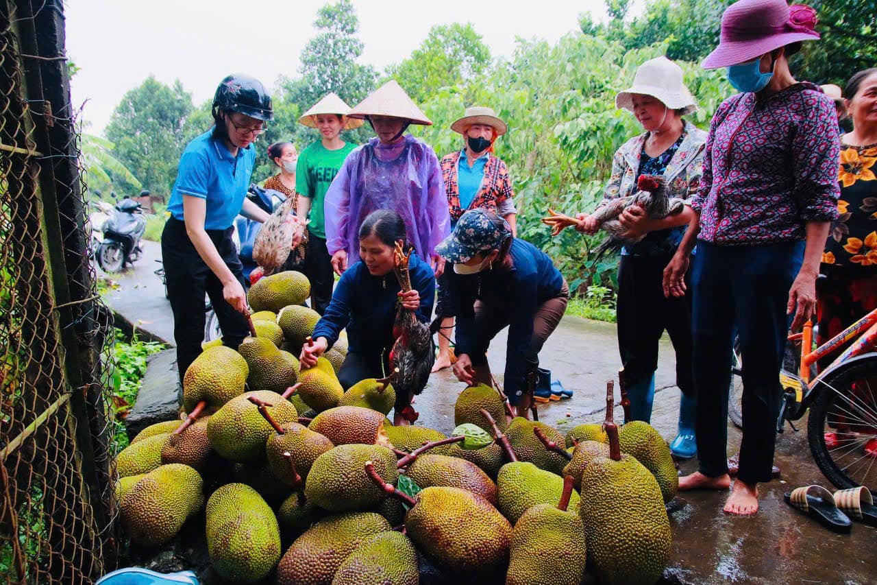 Huyện Đan Phượng sẵn sàng ứng phó với lũ báo động 2 trên sông Hồng