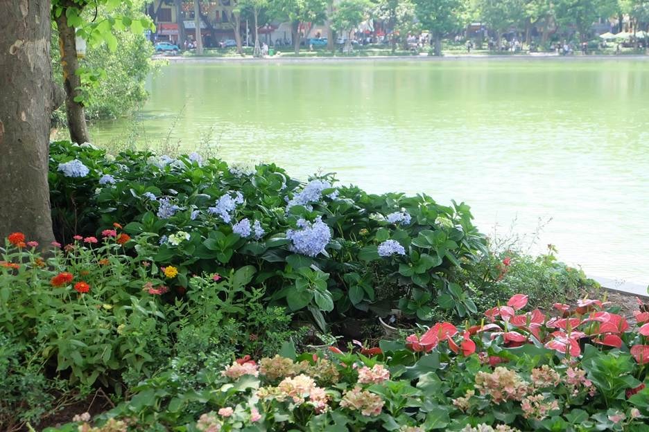 Thu Hà Nội qua từng góc phố