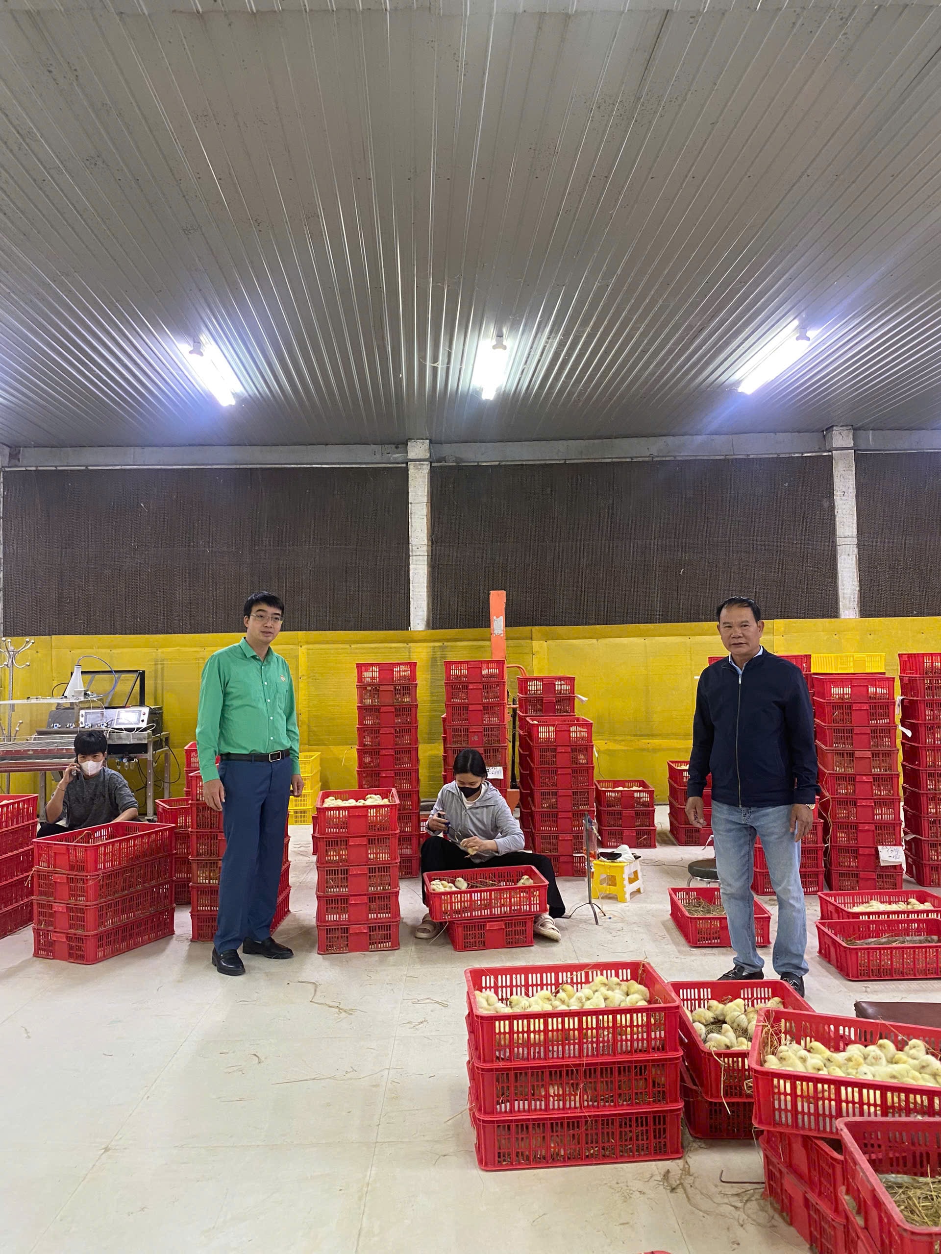 Dân vận khéo tạo động lực phát triển nông nghiệp xanh ở Thư Lâm