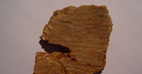 Phát hiện mảnh gốm cổ nhất thế giới