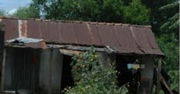 Huế: Vẫn chưa tìm ra nguyên nhân ngôi làng “người điên nhiều hơn người ...
