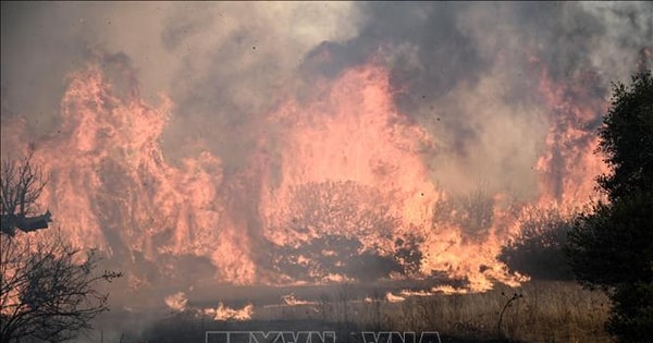 Hy Lạp kêu gọi các nước EU hỗ trợ đối phó với cháy rừng