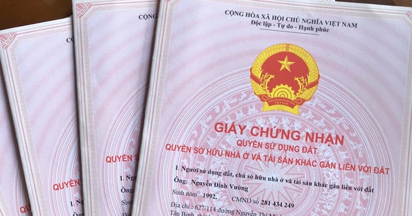 Cần điều tra, làm rõ việc huy động vốn của Công ty cổ phần New Dawn ...