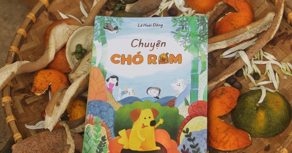Đọc để hiểu và thương