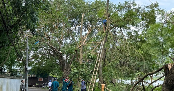 Xã Thanh Trì huy động lực lượng khắc phục hậu quả mưa dông